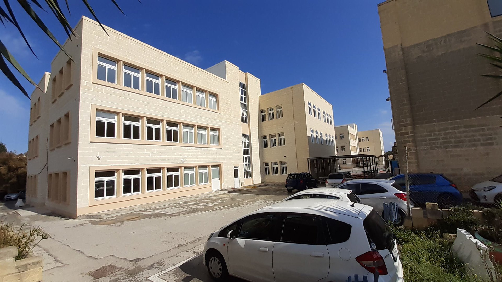 The School - St Thomas More College
