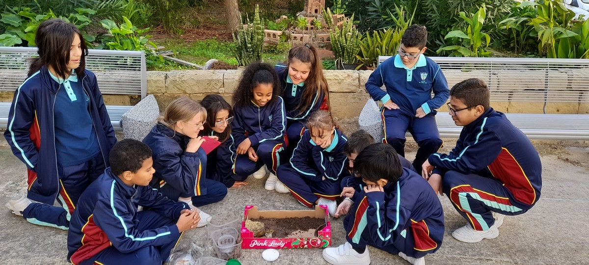 Habitat preference in a fun outdoor lesson - St Thomas More College