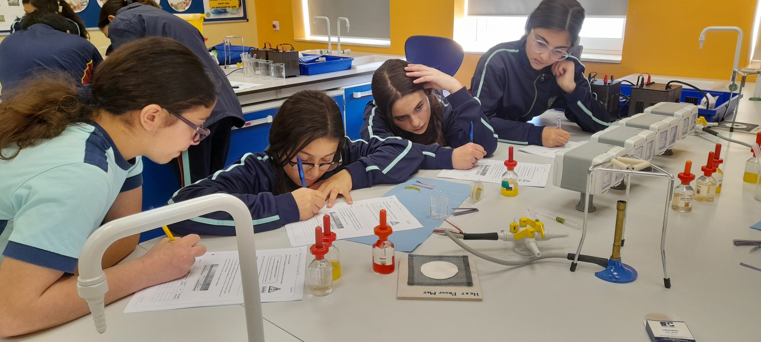 Science Experiments - St Thomas More College