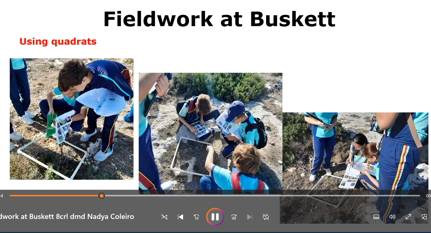 Fieldwork at Buskett - St Thomas More College